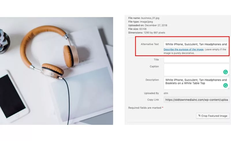Everything You Need to Know About Alt Text | OTM - Marketing Agency ...
